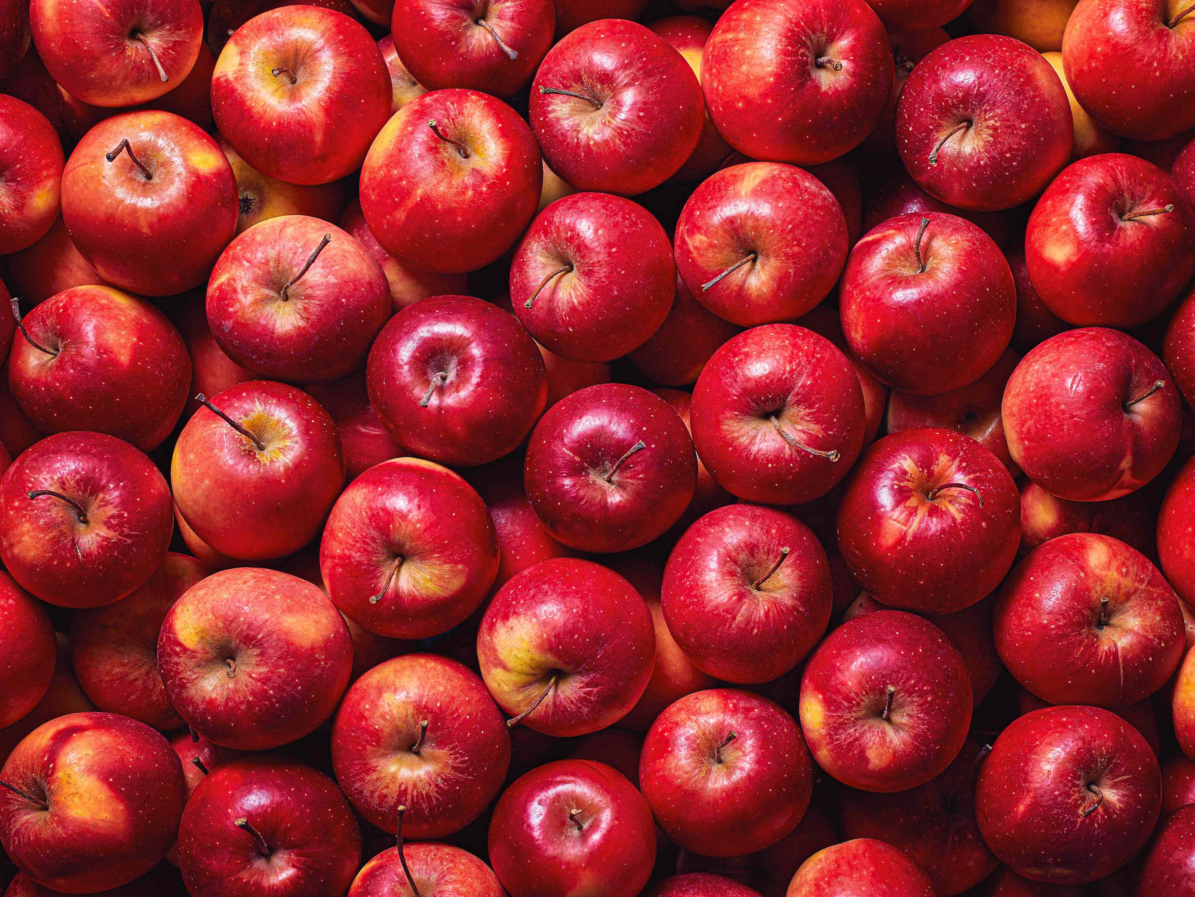 Can a Single "Bad" Apple Ruin Your Whole Bag? Here’s What Science Says