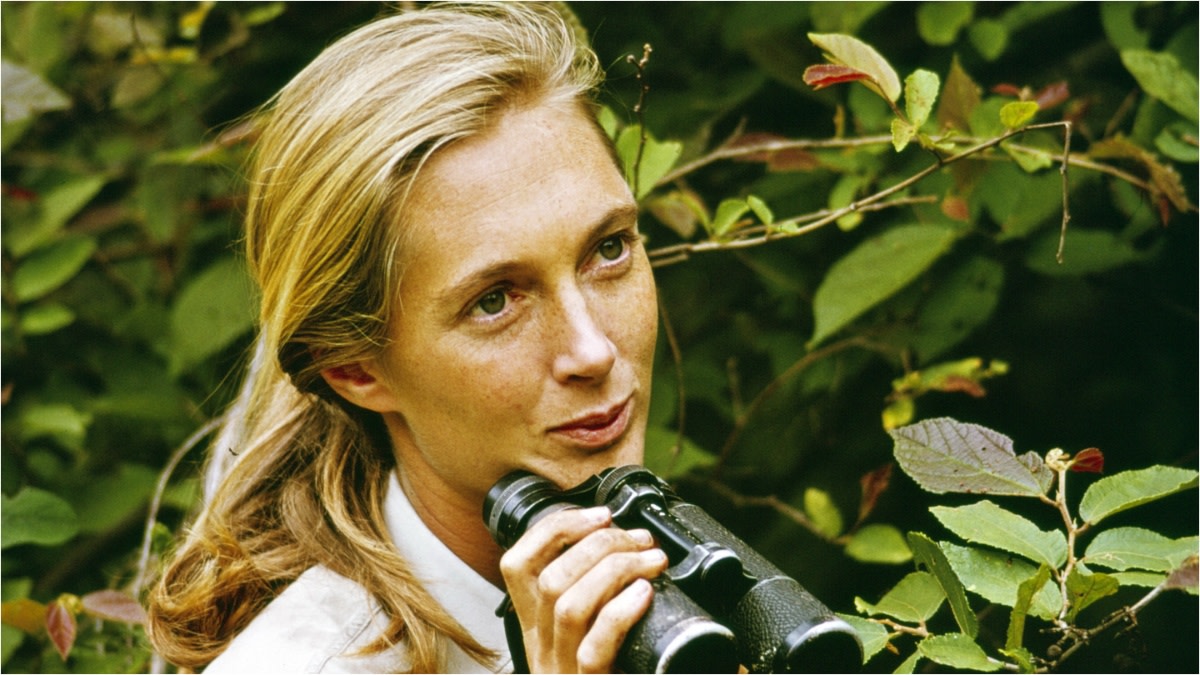 Jane Goodall Was Married Twice: Her Husbands Were Hugo van Lawick ...
