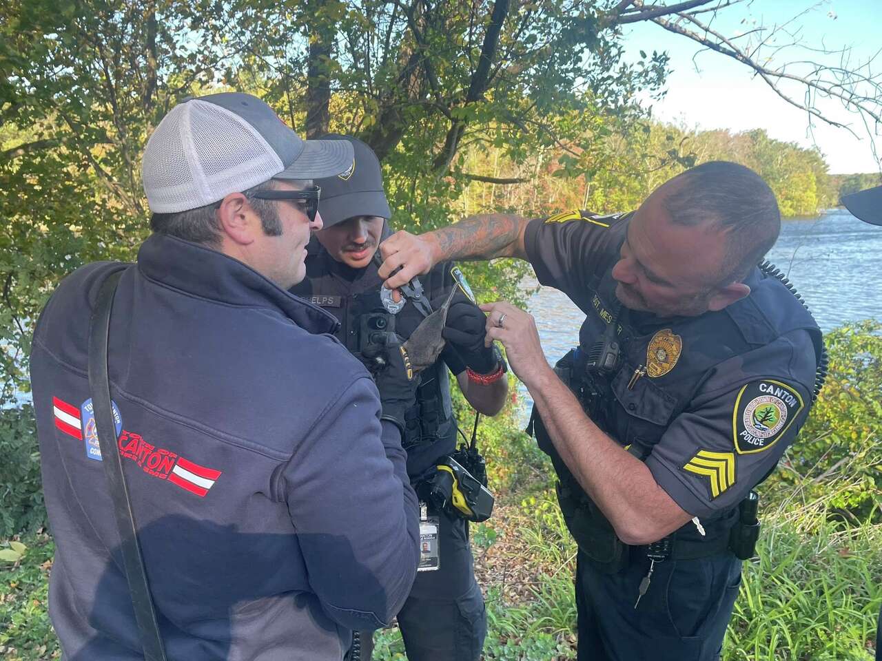 CT officials rescue bird tangled in fishing line near Farmington River ...