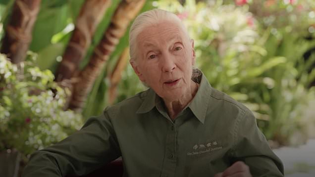 Harry and Meghan lead tributes as conservationist Jane Goodall dies aged 91