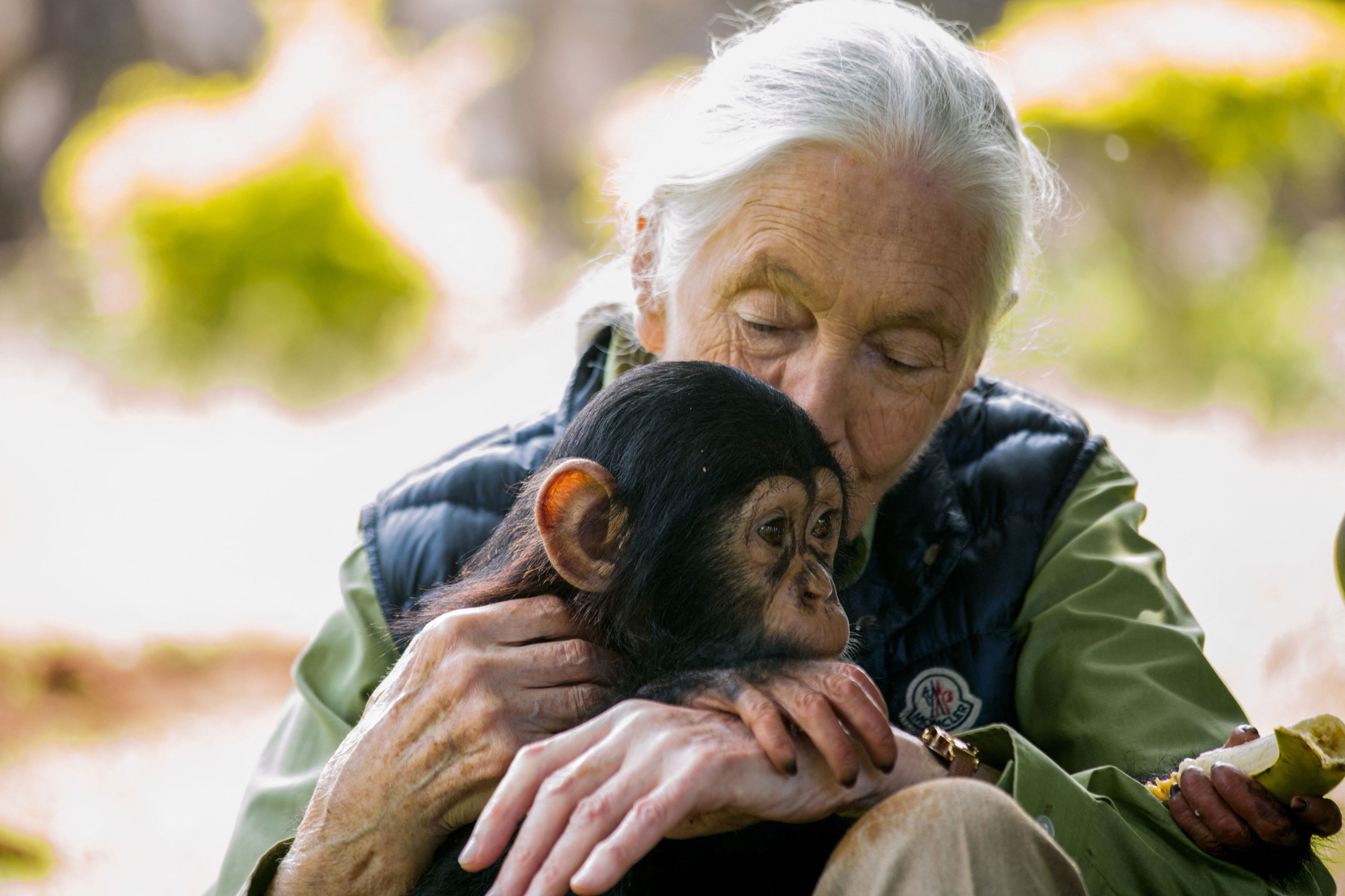 Pasadena community mourns as Jane Goodall was scheduled to tree ...