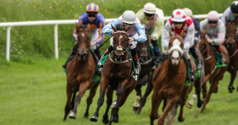 As the Kentucky Derby nears, the debate over horse racing’s ethics is ...
