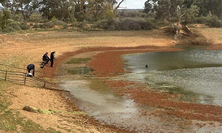 Heartbreaking update in search for missing four-year-old boy who ...