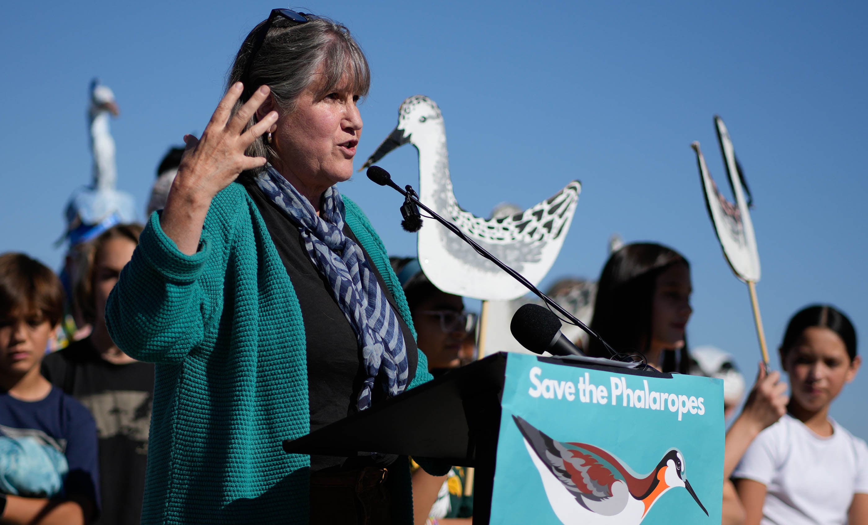 Feds ducked protections for Great Salt Lake bird, environmental groups ...