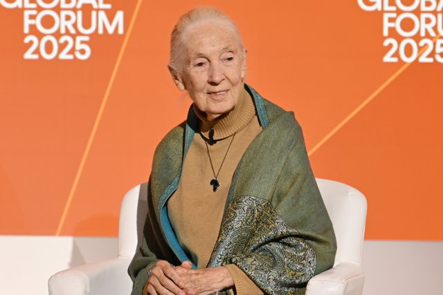 Prince Harry and Meghan Markle Recall Jane Goodall Holding Their Son ...