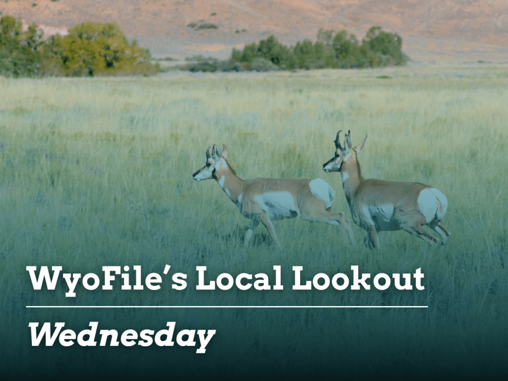 Local Lookout: Pedestrian safety concerns | Water deal for gold mine ...