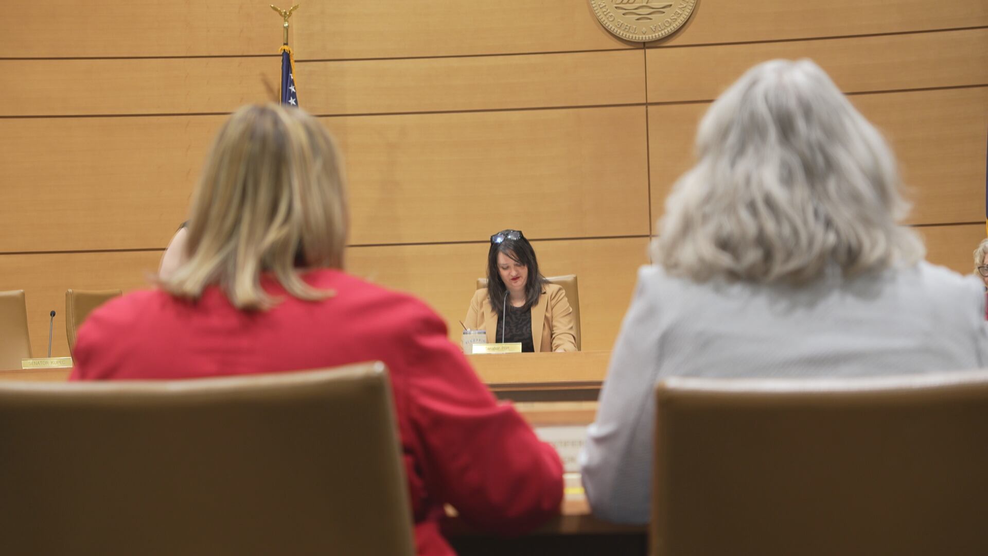 Minnesota Senators examine federal impacts of SNAP benefit cuts in hearing