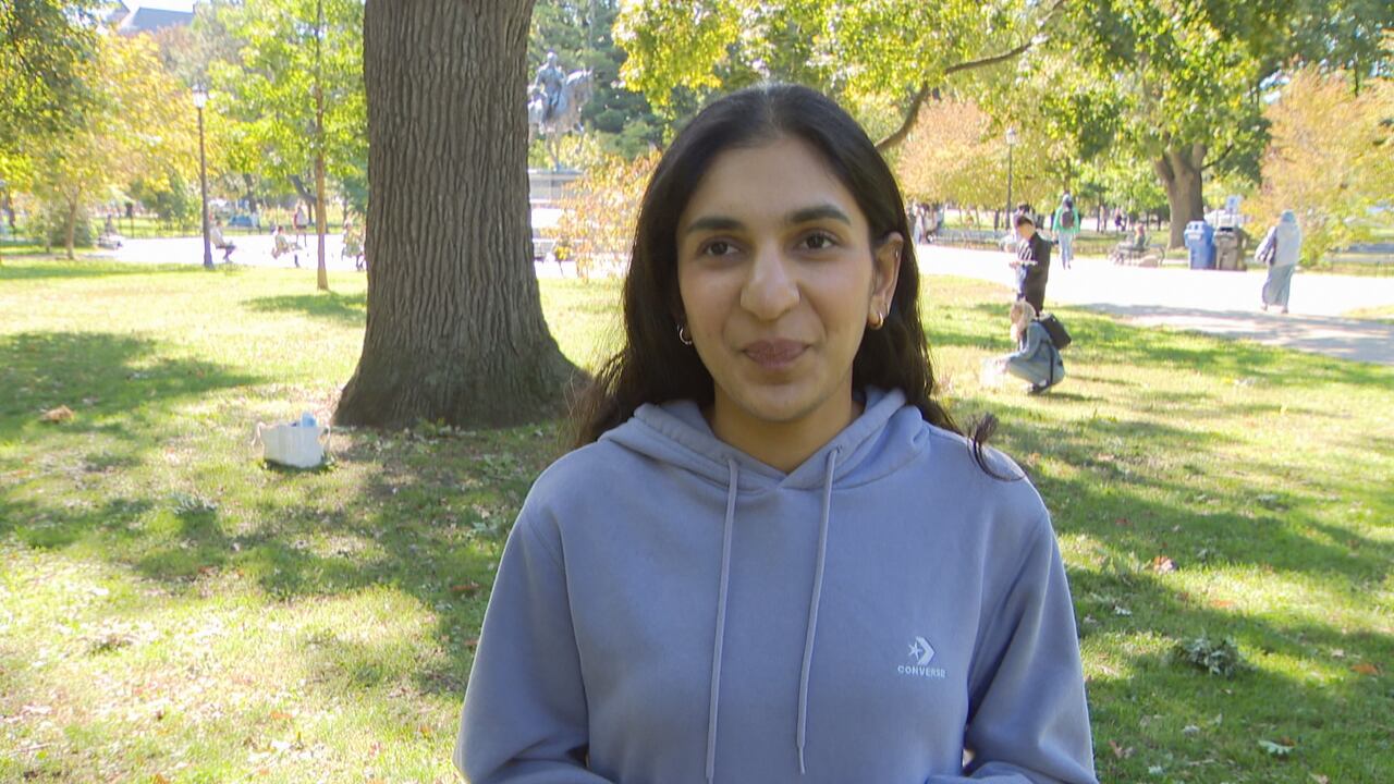 U of T students gather White Oak acorns at Queen's Park in an effort to preserve native trees