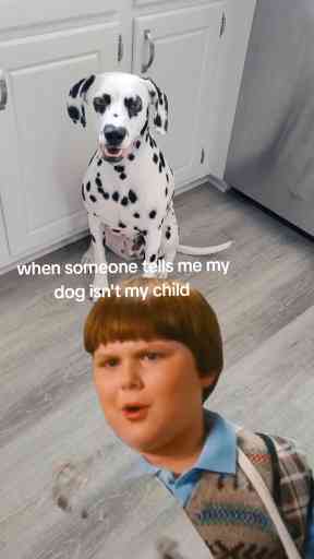 Adorable Keeley Moment That Will Melt Your Heart