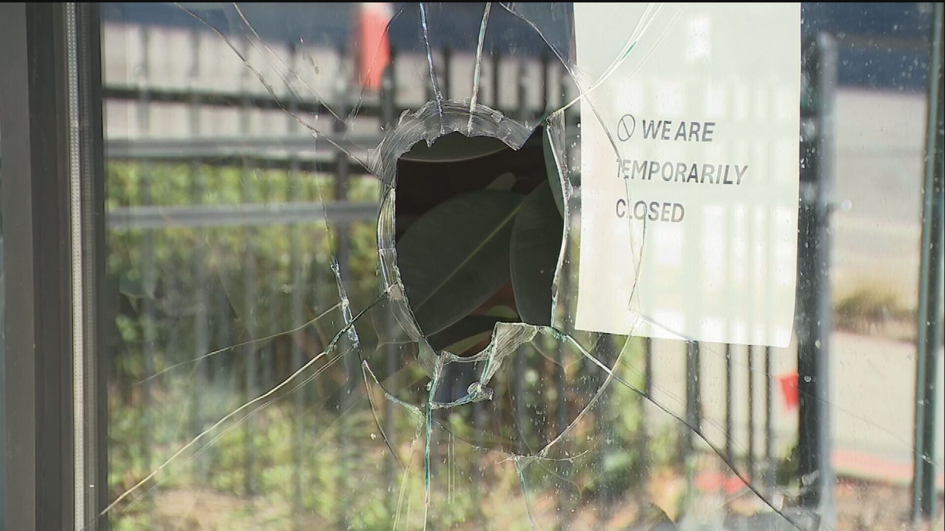 Vandals didn’t take anything after smashing windows at several midtown ...