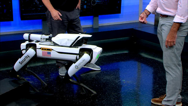 Drone Dog Is A High Tech Man S Best Friend Robot Watchdog