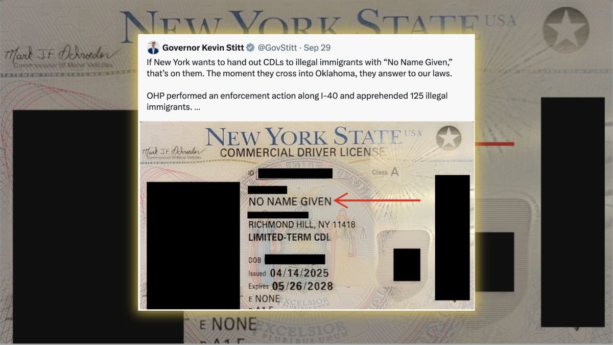 New York DMV didn't issue 'no name given' commercial driver's licenses ...