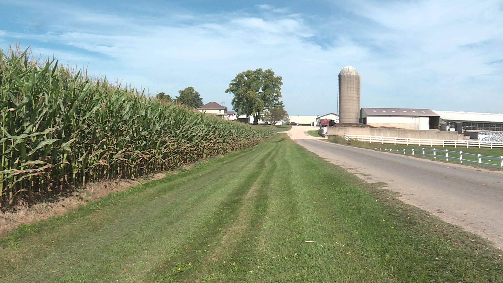 Farming and Federal shutdowns: How temporary loss of some services is ...