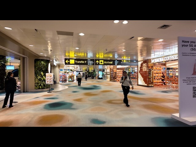 Singapore Changi Airport Arrival Step by Step 2025 (Immigration, Bags ...