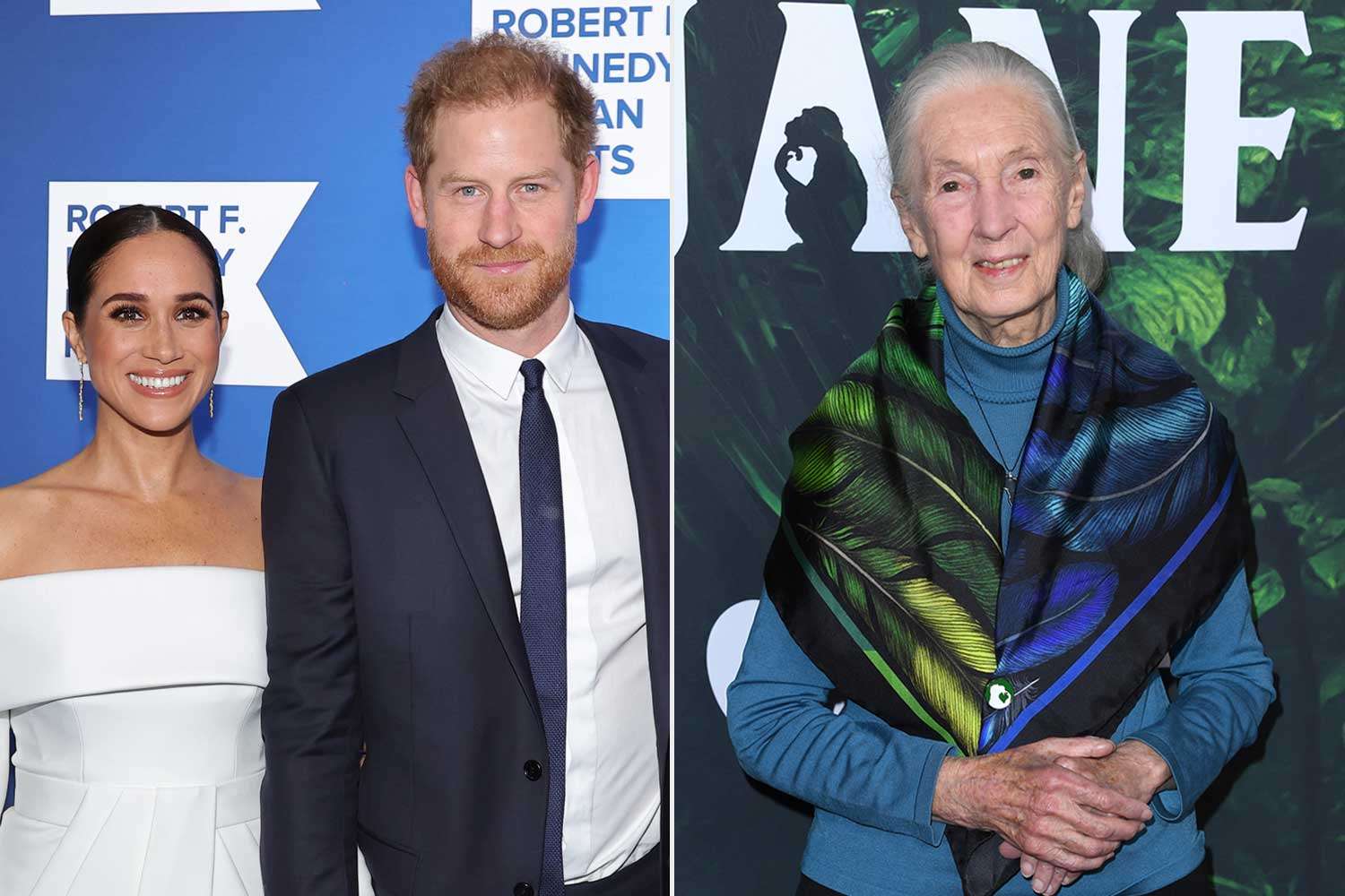 Prince Harry and Meghan Markle Recall Jane Goodall Holding Their Son ...
