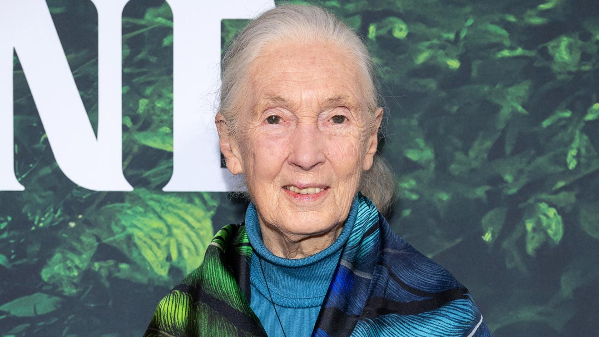 Revelan la causa de muerte de Jane Goodall tras fallecer la ...