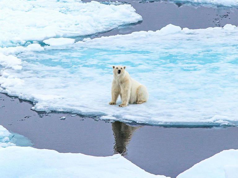 Forget Italy, here’s where wealthy Australians are holidaying instead