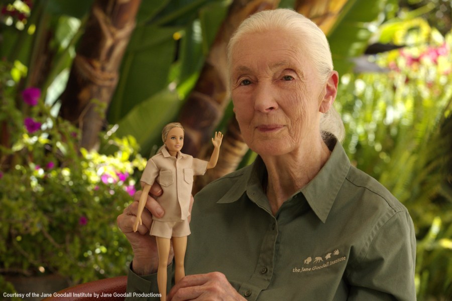 Jane Goodall died with her boots on, unafraid: Nat Geo writer