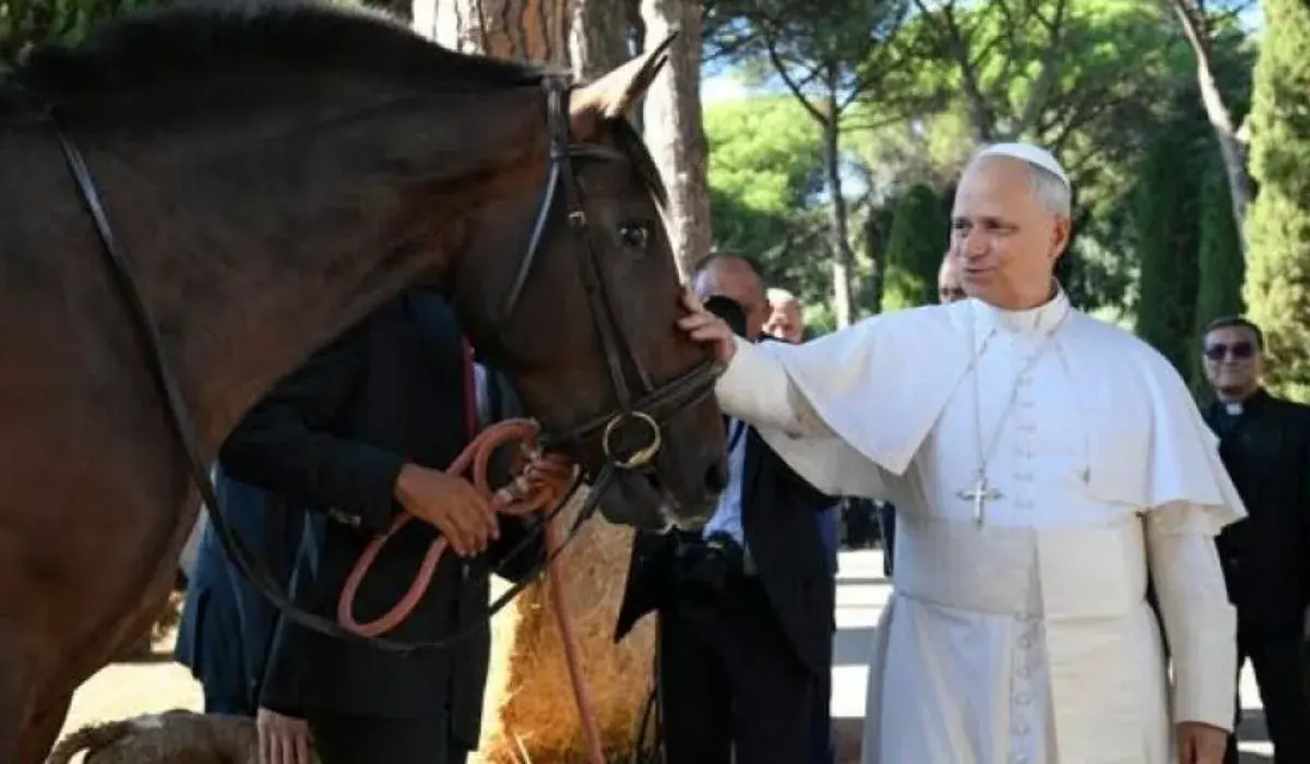 Reproducción de yeguas: guía completa de celo, cría y parto