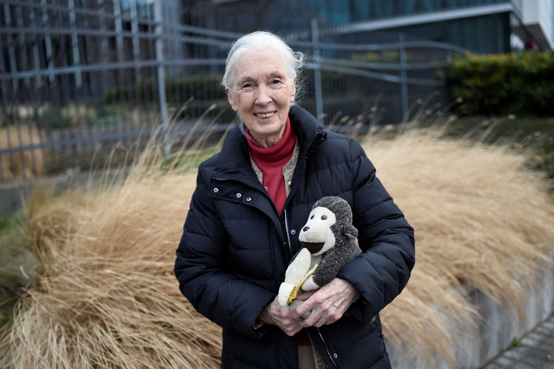 Jane Goodall, pioneering primatologist and conservationist, has died at 91