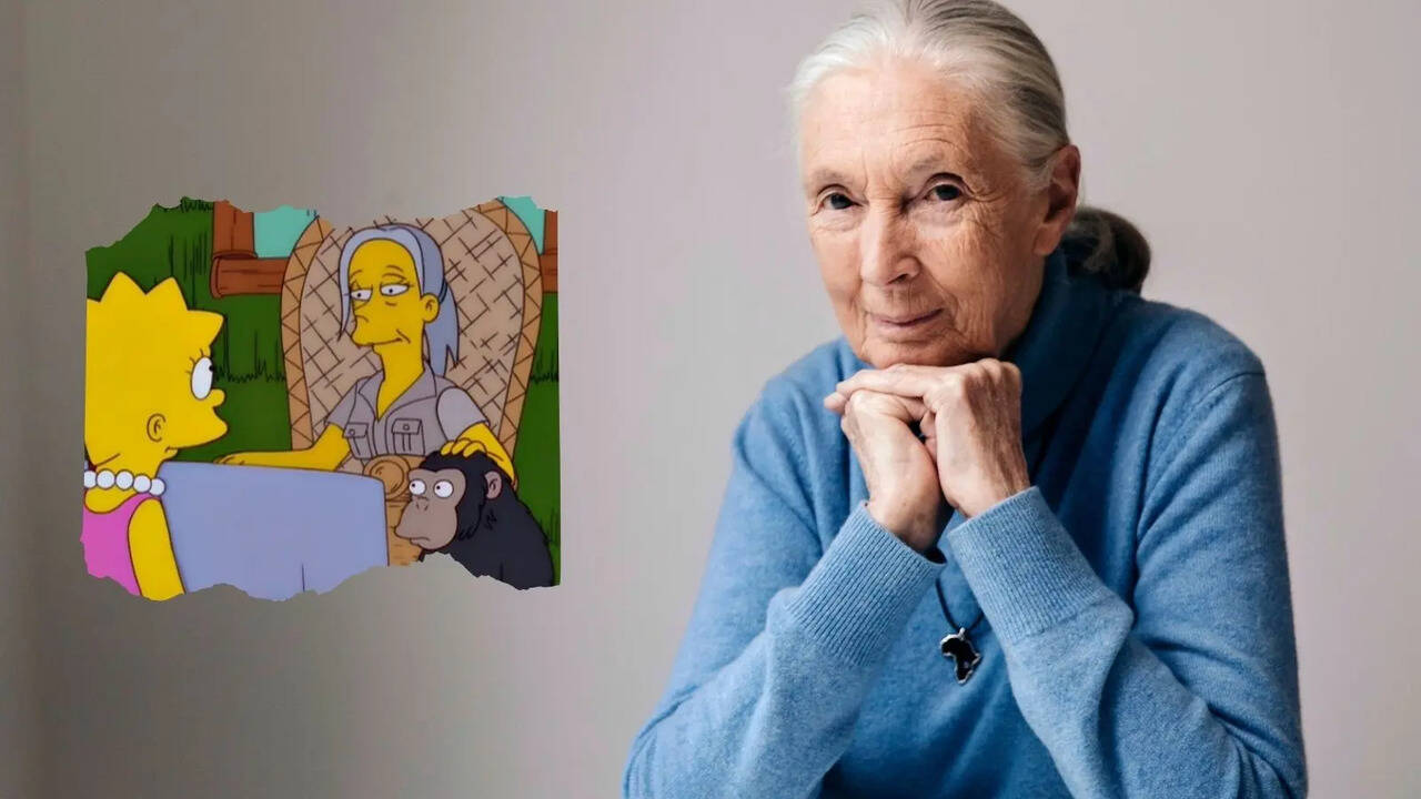 Jane Goodall and The Simpsons: A Link Grounded in Satire and Tribute