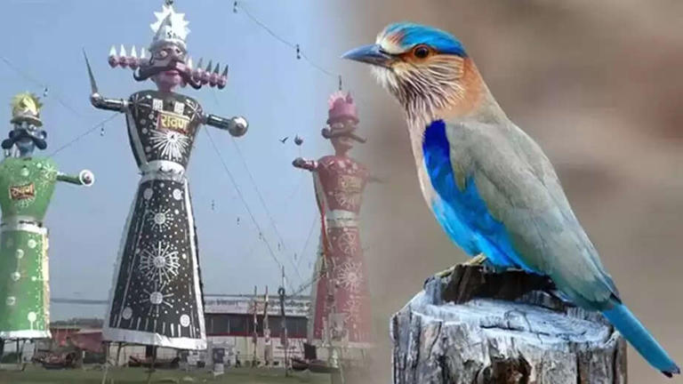 Celebrating Dussehra: The Significance of the Neelkanth Bird