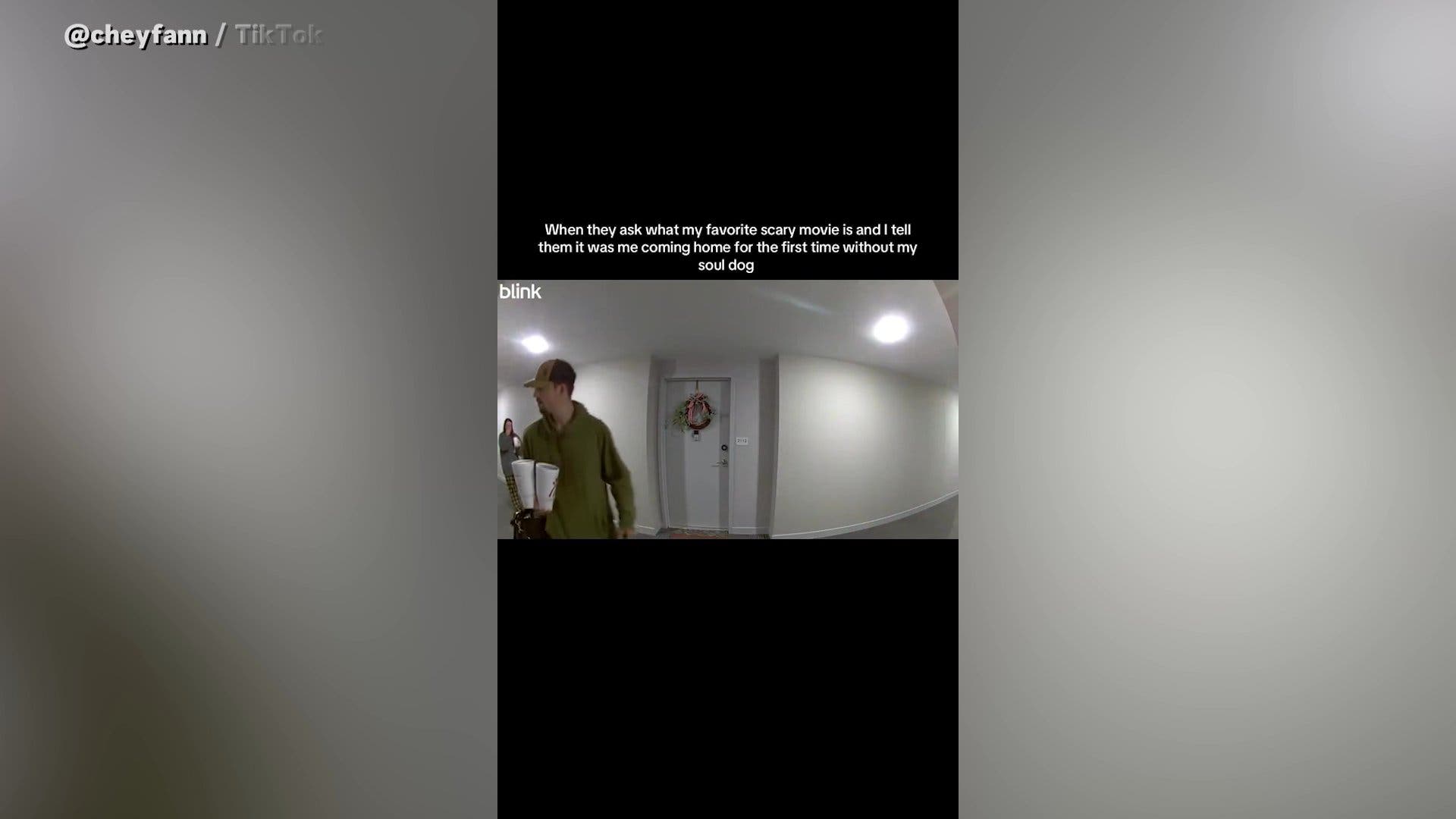 Moment Woman Returns Home From Vet Without Dog Leaves Internet in Tears