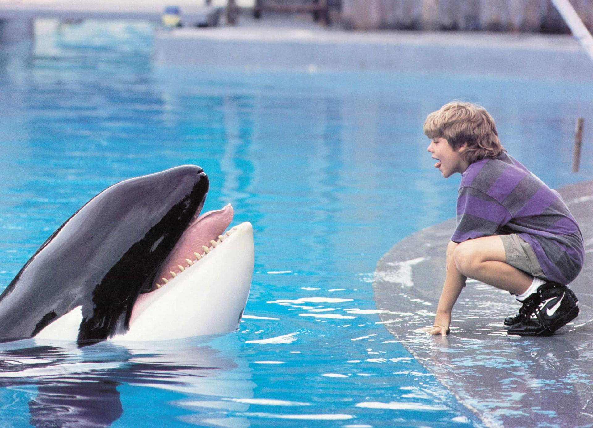 The most loved animal protagonists in movie history