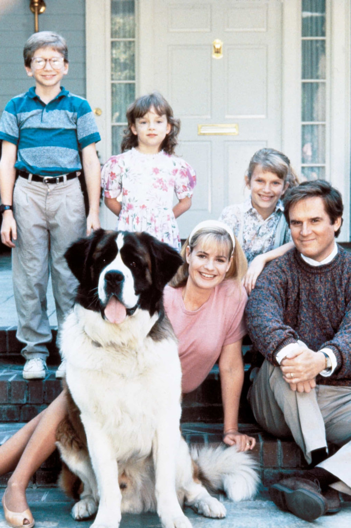 The most loved animal protagonists in movie history