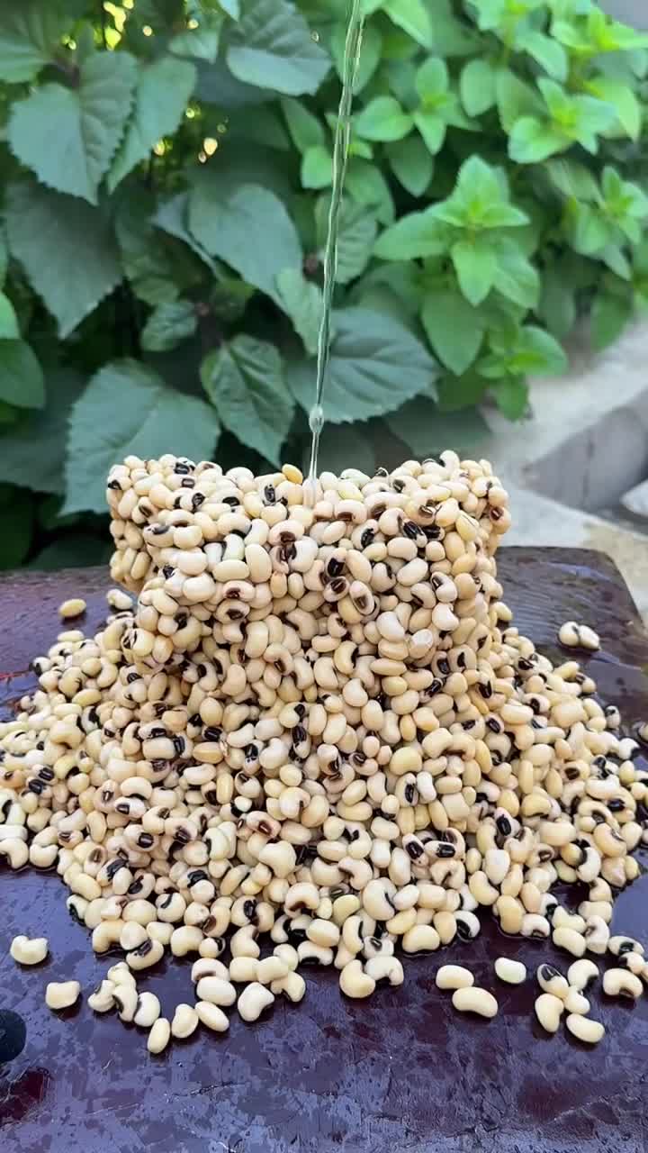 Watch this satisfying ASMR video!