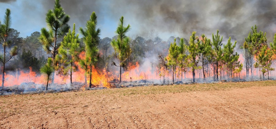 Georgia: Summer “Open Burn Ban” ends today