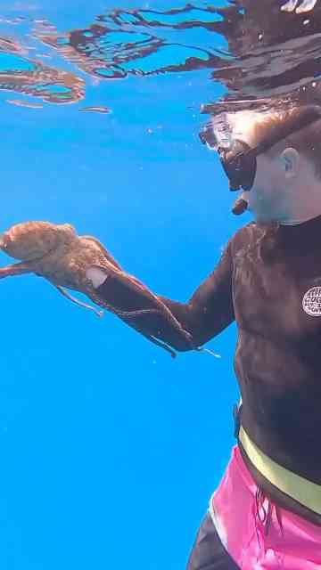 Octopus Dancing to the SpongeBob Theme