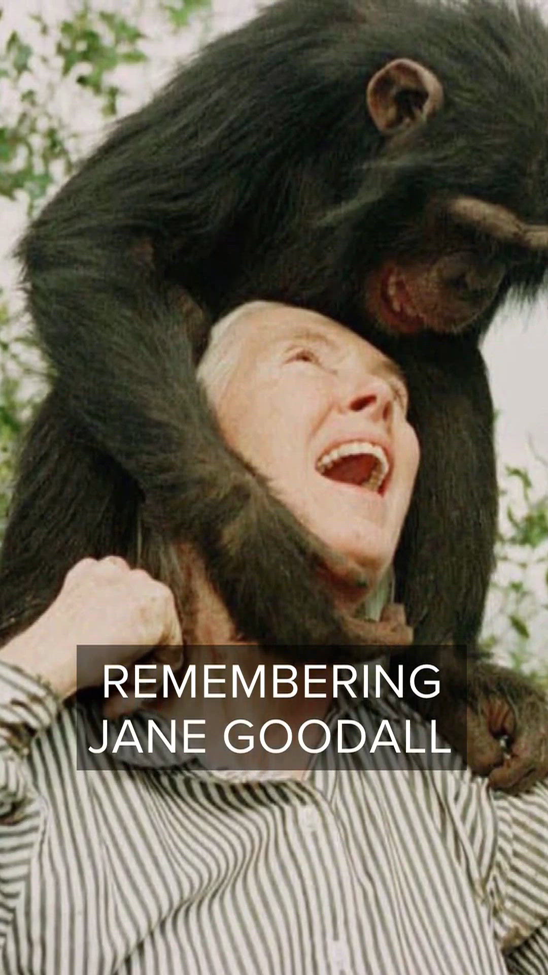 Jane Goodall is remembered by close friend