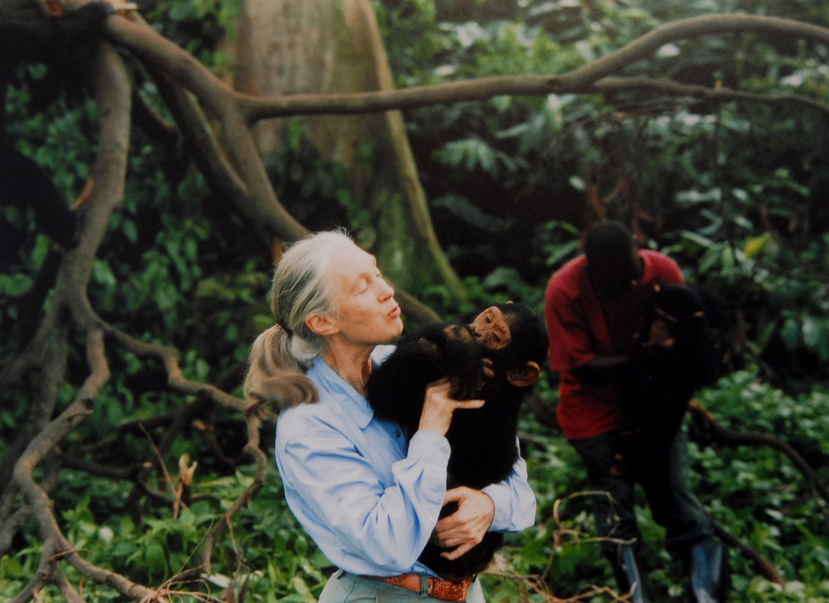 Jane Goodall: A look back at her incredible life