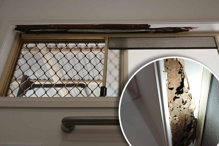 Tradie's alarming find in home prompts warning to Aussies about ...