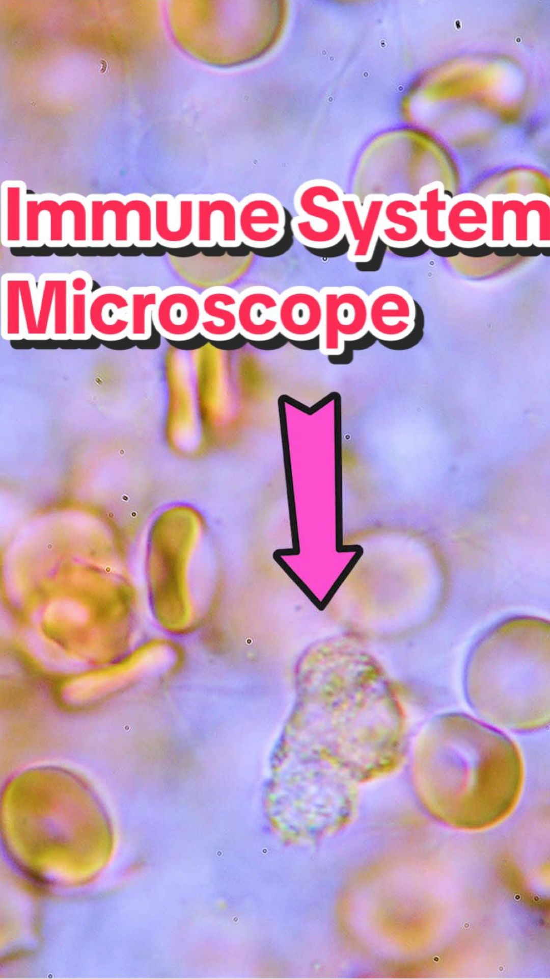 Mixing Incompatible Blood Types: What You Need to Know?