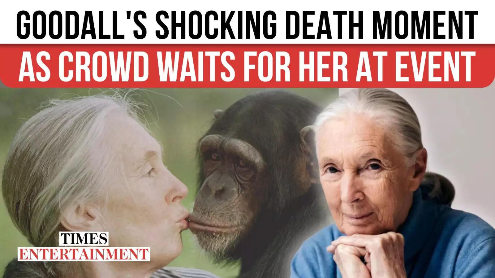 Jane Goodall Dead At 91: Video Shows Shocking Moment Her Death Was ...