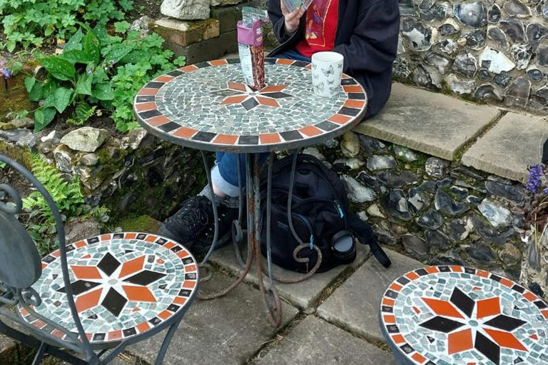 27-year-old bedbound for years after Covid 'reactivates insect bite'