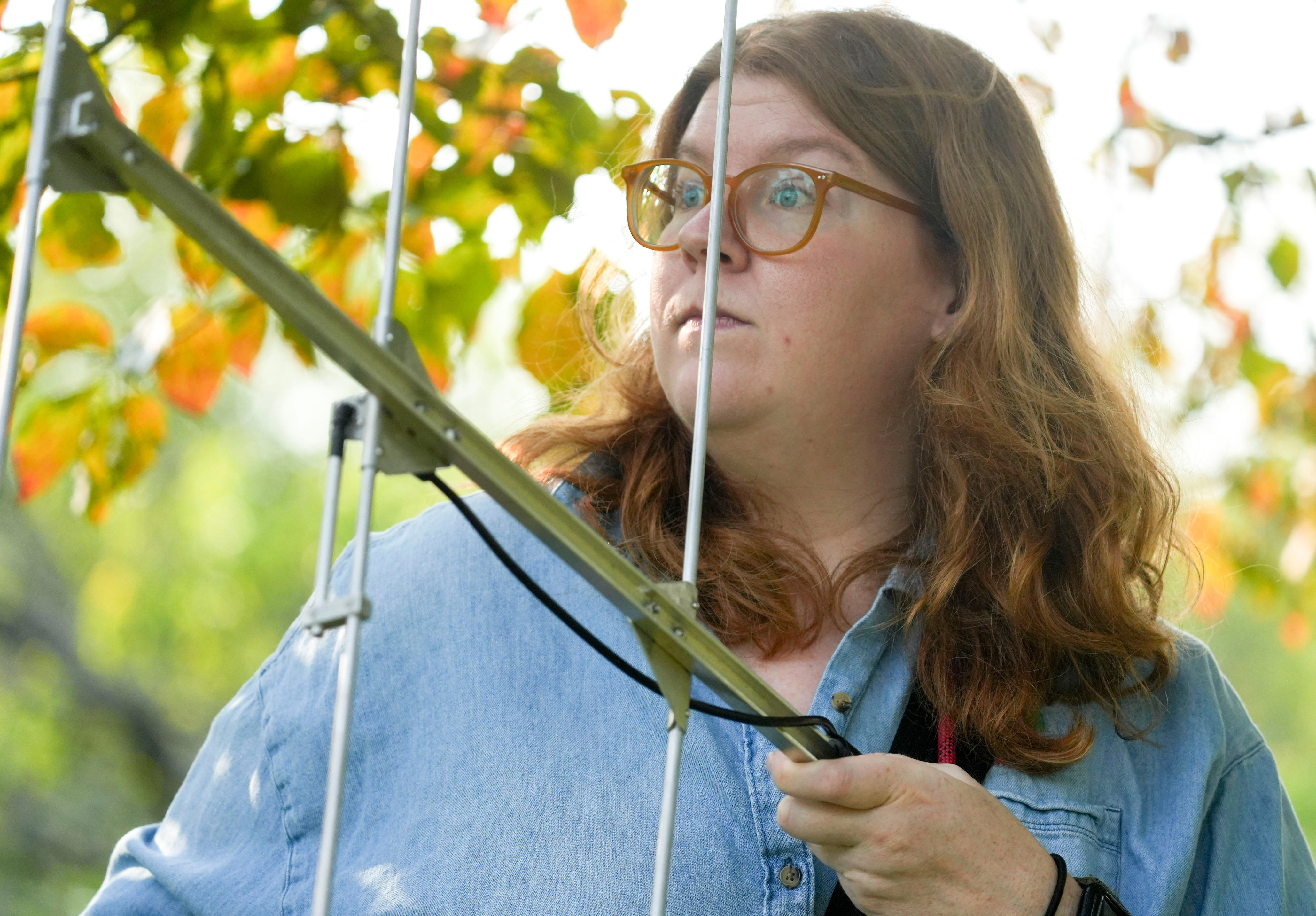 The wood thrush's 'ee-o-lay' song lures researchers hoping to learn ...