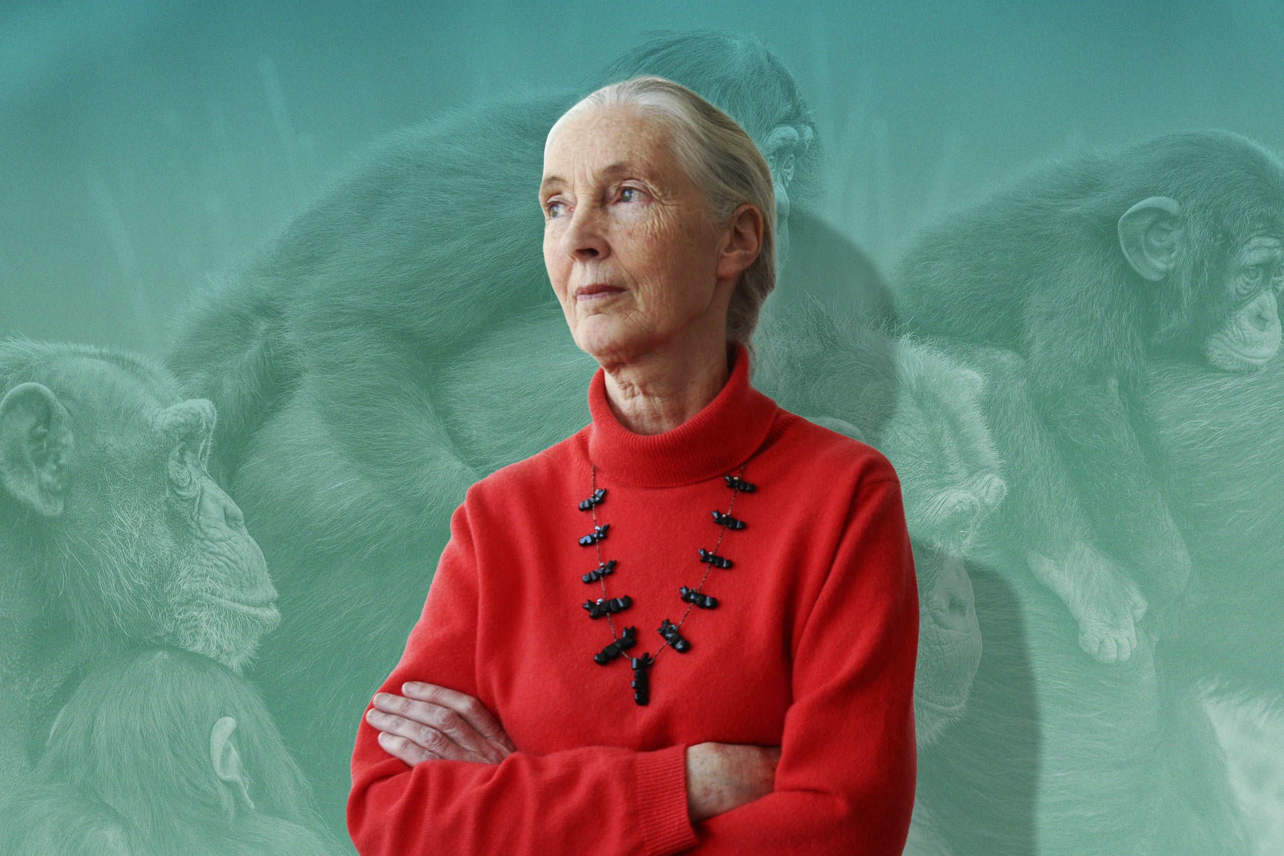 I Learned So Many of My Most Important Life Lessons From Jane Goodall