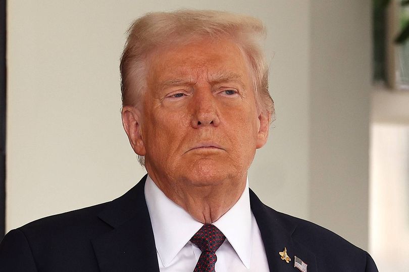 Donald Trump humiliated as CNN viewers brand him a liar over 'fake news ...