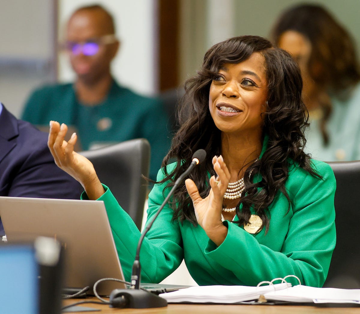 MOU: FAMU secures seat on TMH-FSU hospital board; FSU will pick Rattler ...