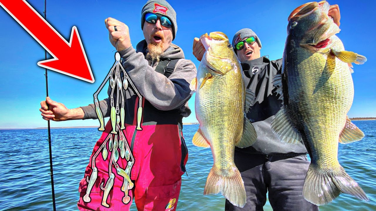 Rig should be illegal monster Texas bass cannot resist