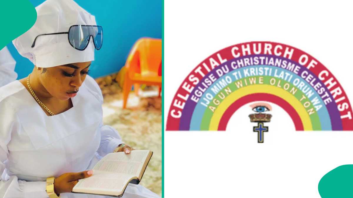 Imisi's supporters share plans for Cele Church's Luli concert at TBS ...