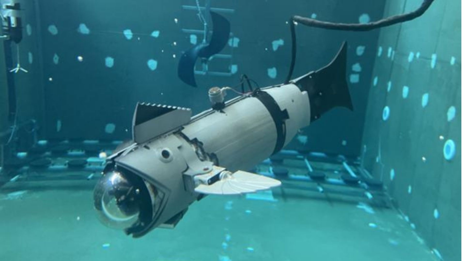 Award-winning robot fish deploys sensors to boost sustainability in ...