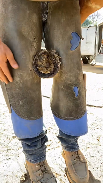 Farrier at Work – The Most Satisfying Hoof Transformation