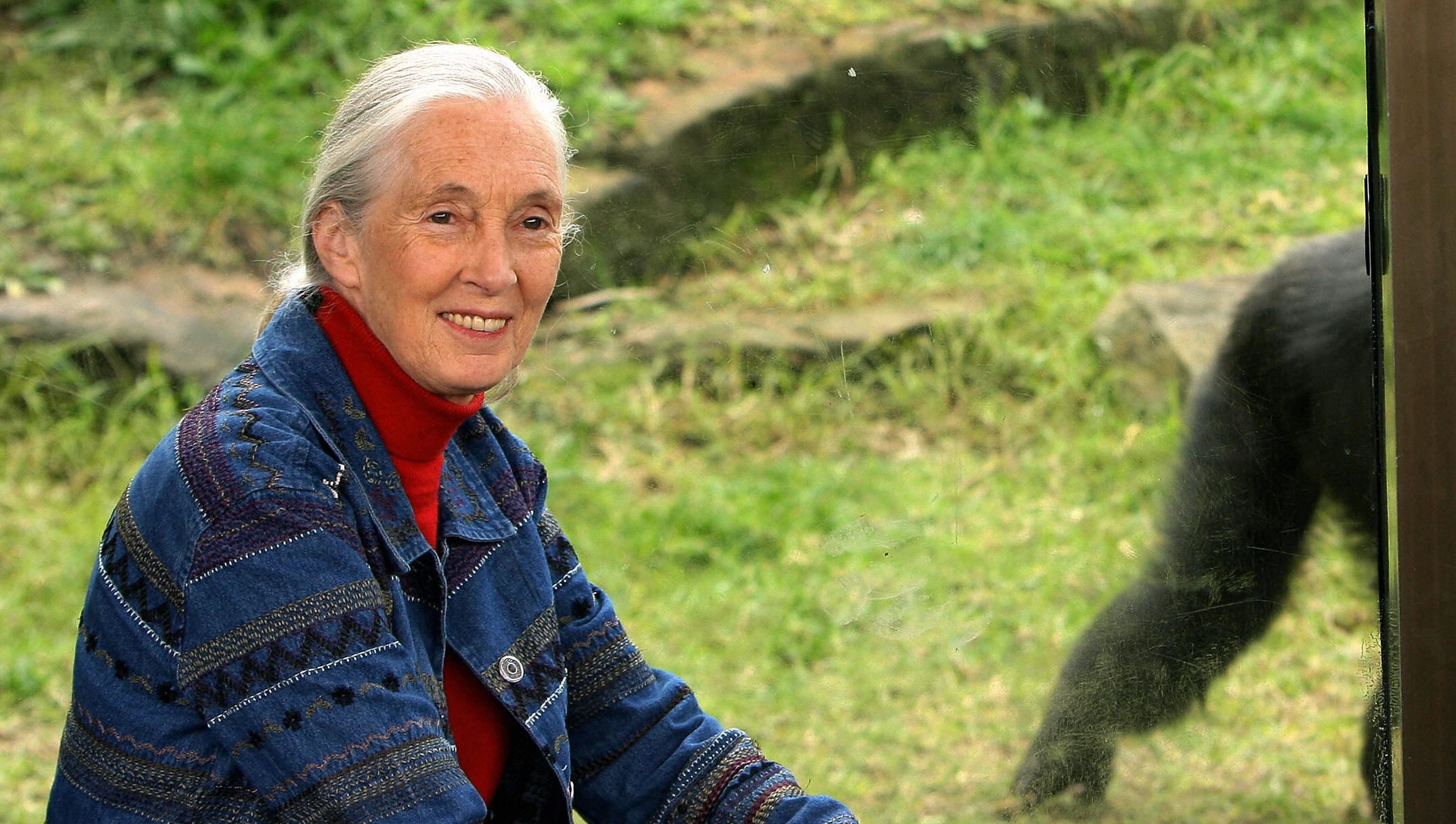 Jane Goodall’s Cause of Death: How Did the Beloved Primatologist Die?