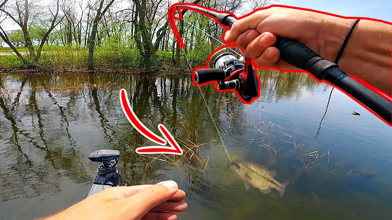 Ultra-clear backwater proves ideal for sight fishing spring bass