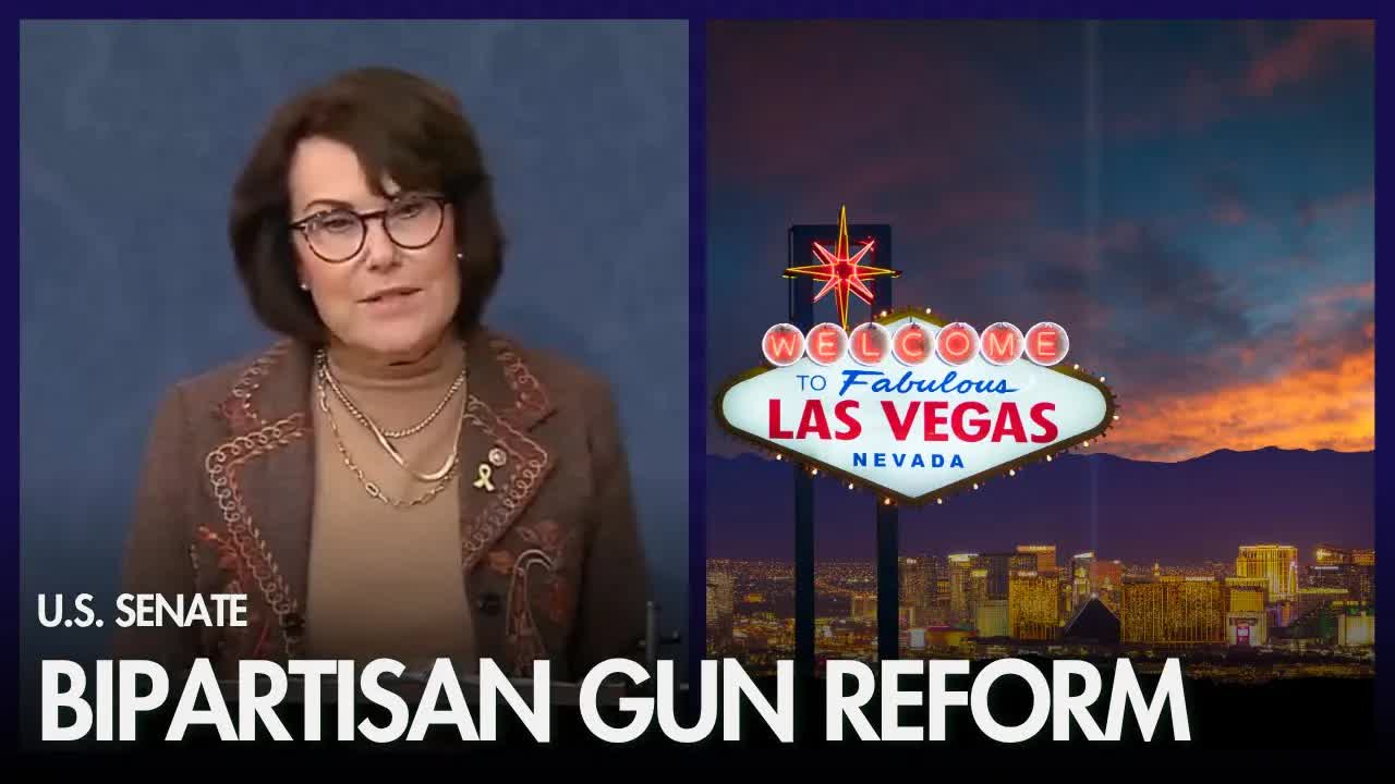 Nevada Democrat calls for bipartisan gun reform ahead of Route 91 ...
