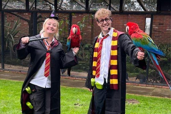 Witches and Wizards Magical Trail at Tropical Butterfly House